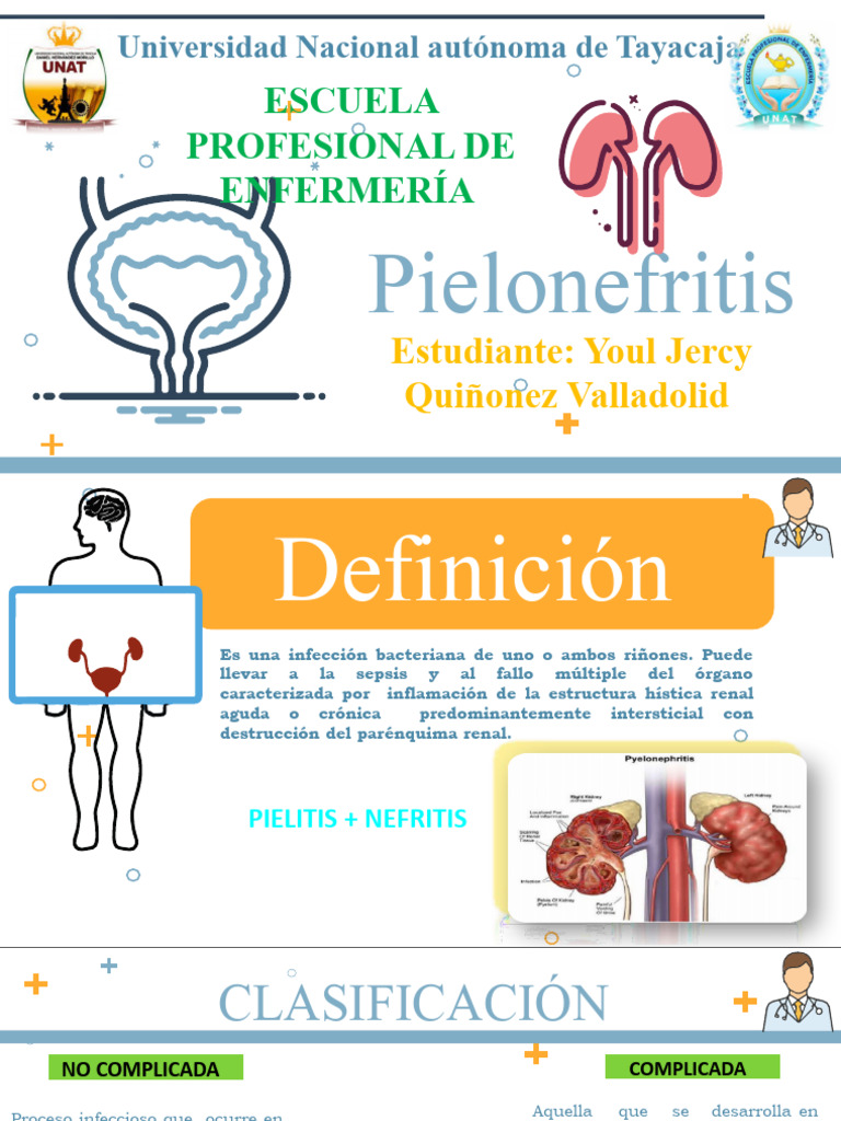 Pielonefritis: Tipos, Síntomas y Diagnóstico | PDF | Enfermedades y ...