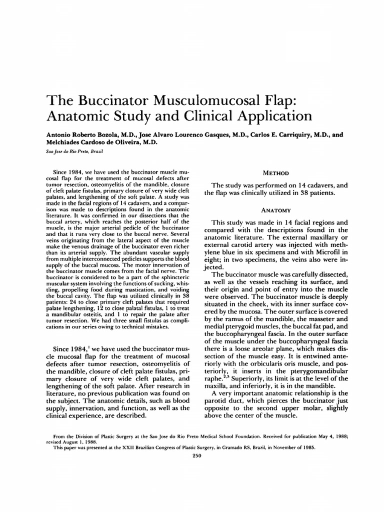 The buccinator musculomucosal flap- anatomic study and clinical ...