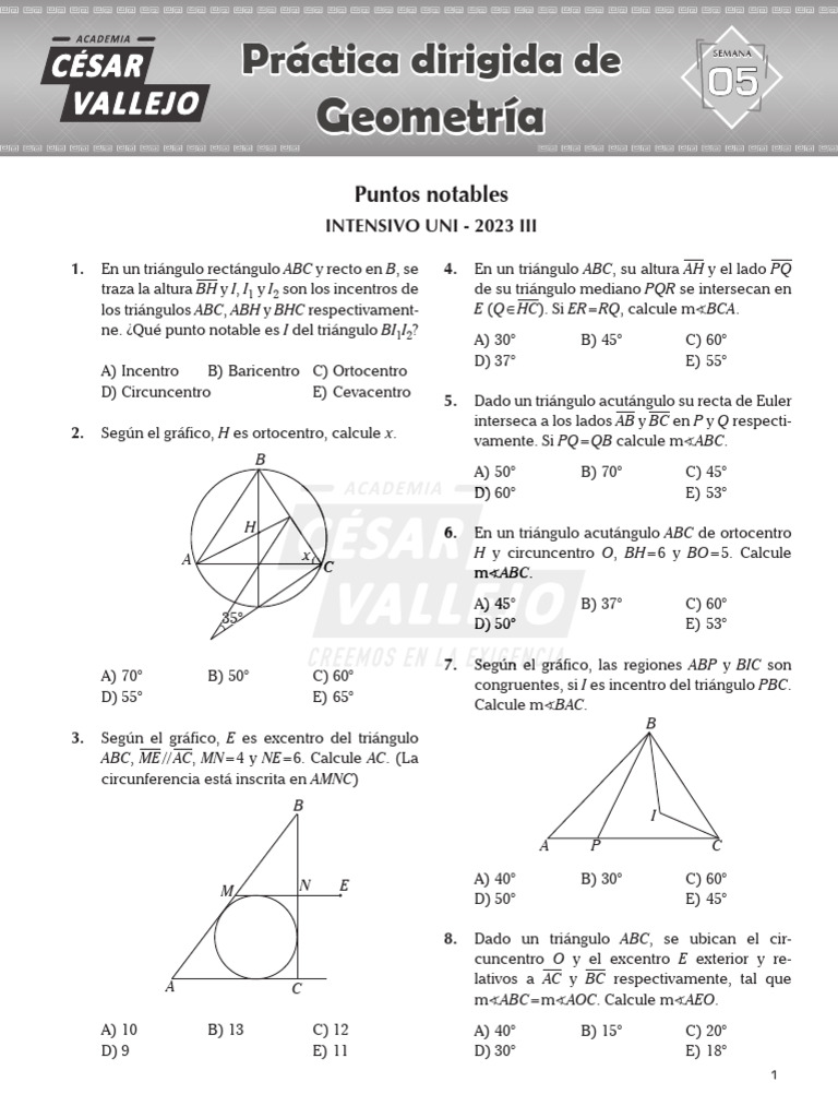Ejercicios de Geometría Triangular | PDF | Triángulo | Geometría euclidiana