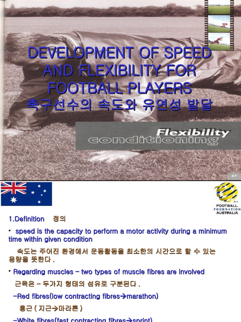 O.DEVELOPMENT OF SPEED AND FLEXIBILITY FOR FOOTBALL PLAYERS | PDF