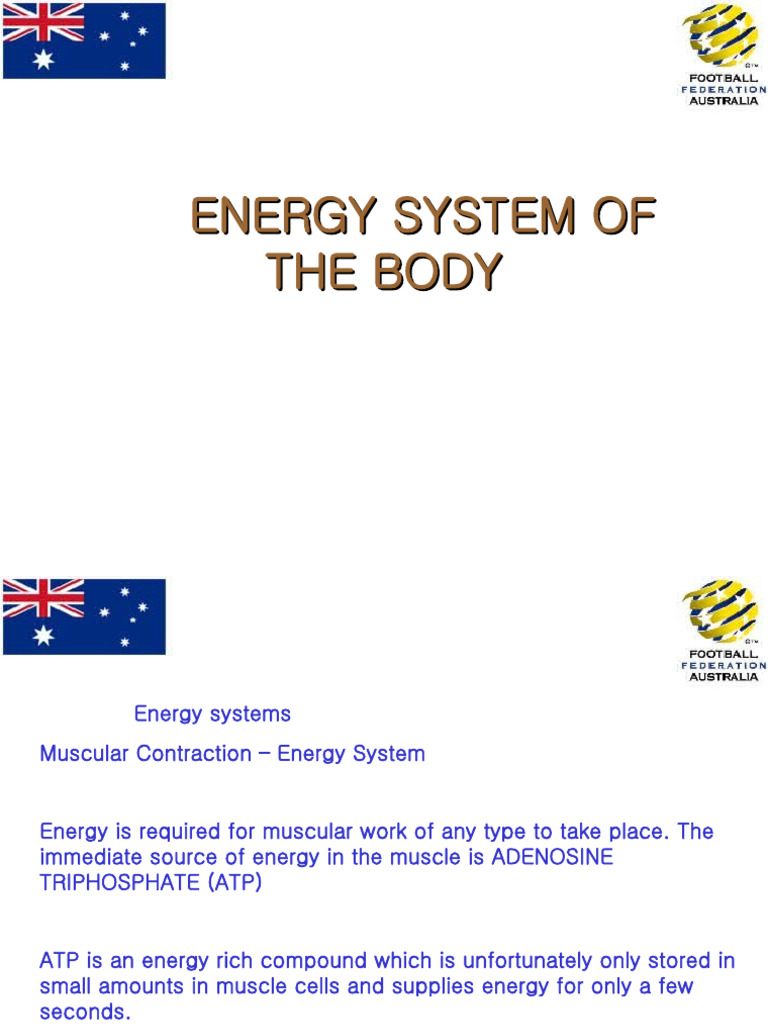 Z.energy System of The Body | PDF | Aerobic Exercise | Physiology
