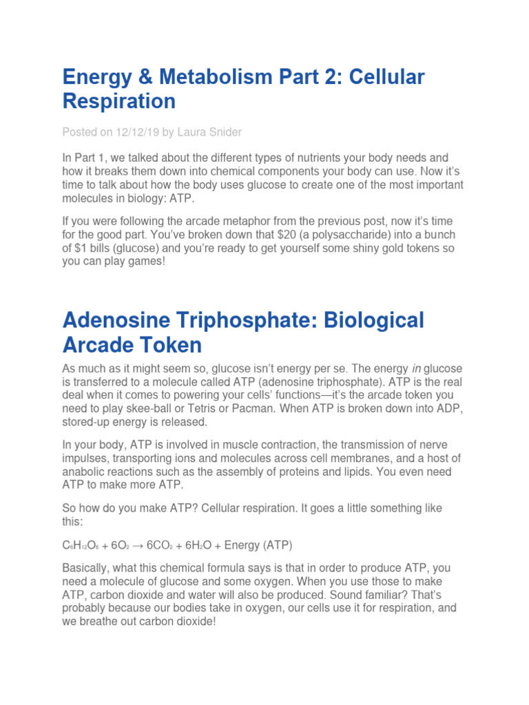 PHYSIOLOGY - Metabolism | PDF | Cellular Respiration | Adenosine Triphosphate