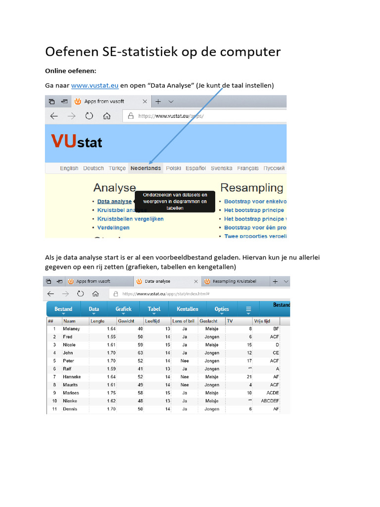 Oefenen SE-statistiek Op de Computer | PDF
