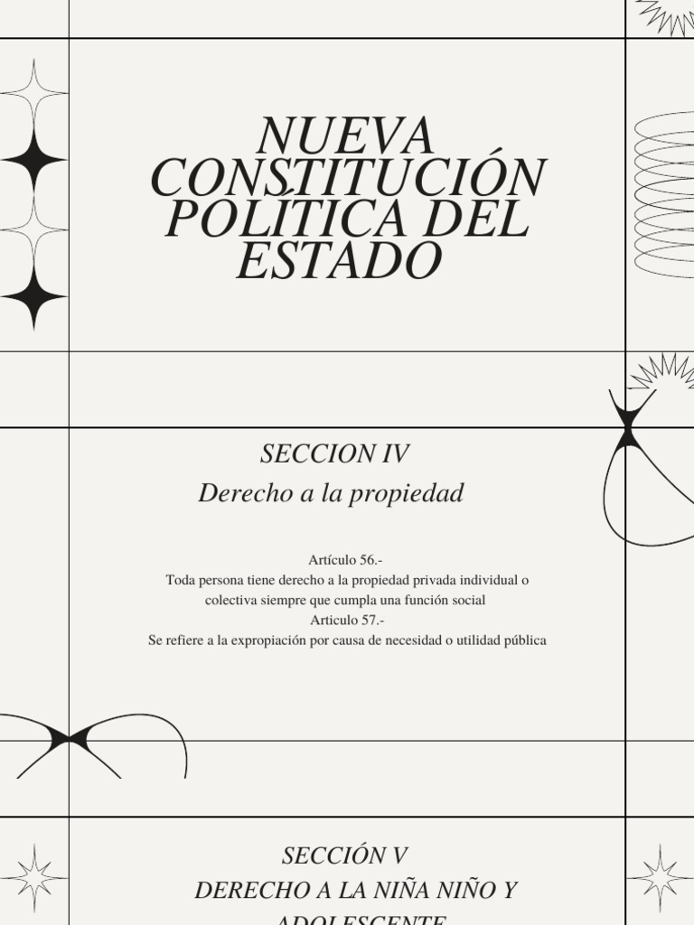 Nueva Constitución Política Del Estado Pdf Derechos Mujer