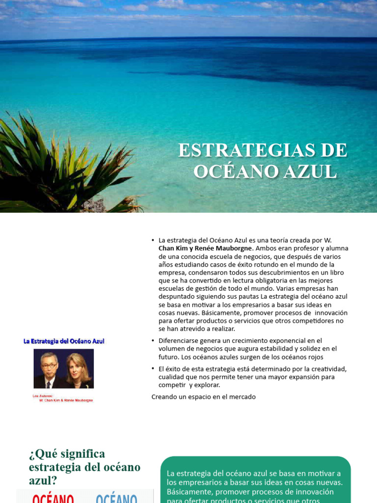 Oceano Azul | PDF | Business | Economias