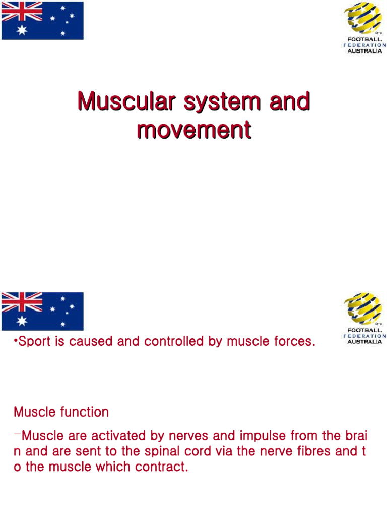 Z.Muscular System and Movement | PDF | Career & Growth | Sports ...