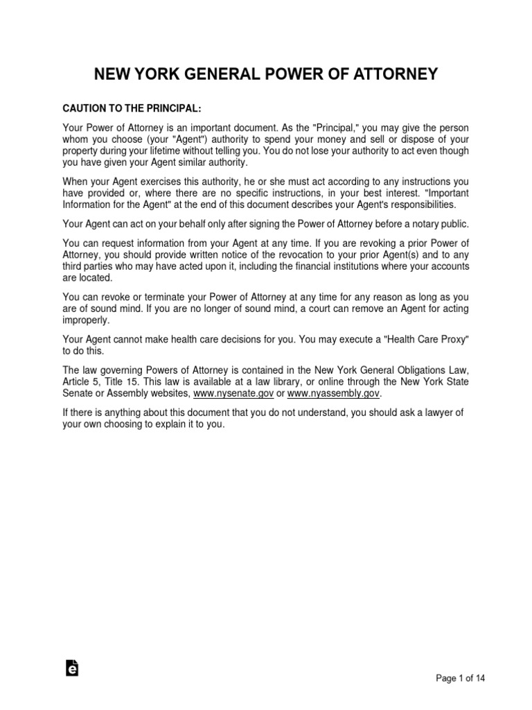New York General Power of Attorney Form | PDF | Power Of Attorney | Law ...