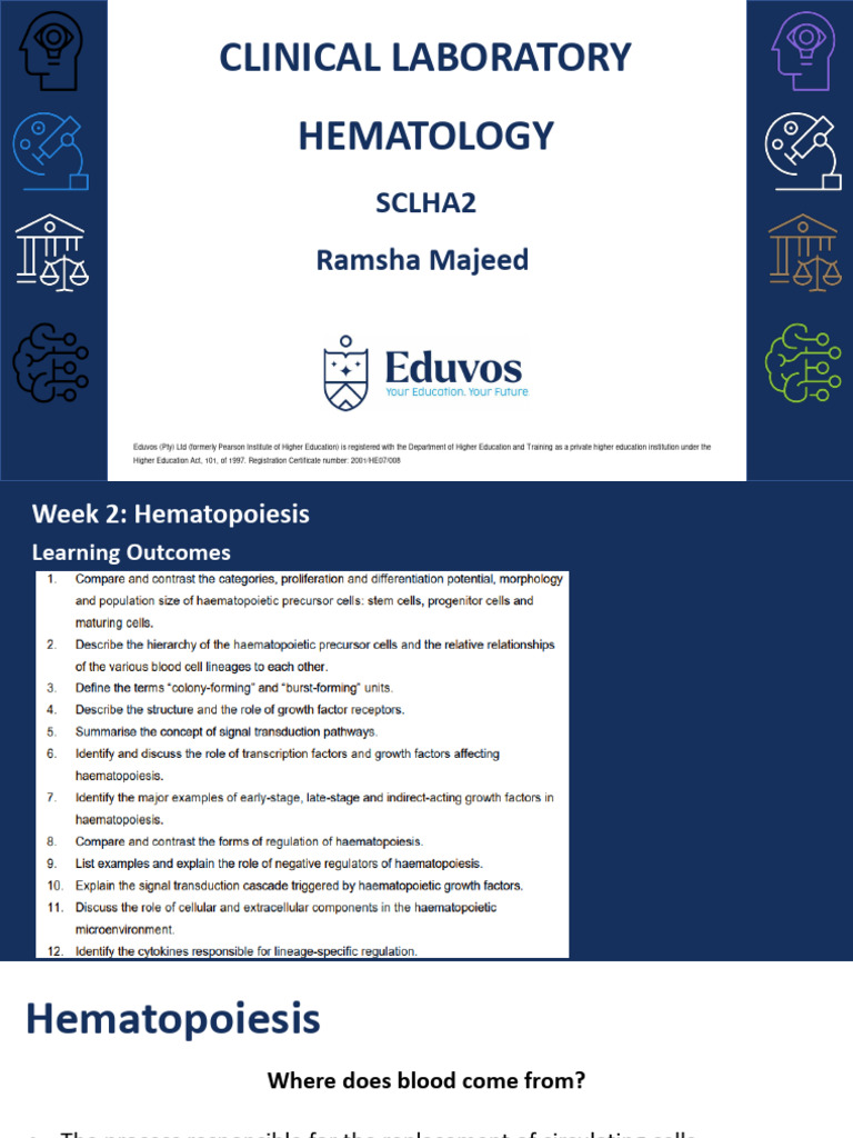 SCLHA2 Week 2 Part 1 (Haematopoiesis) | PDF | Haematopoiesis | Signal Transduction