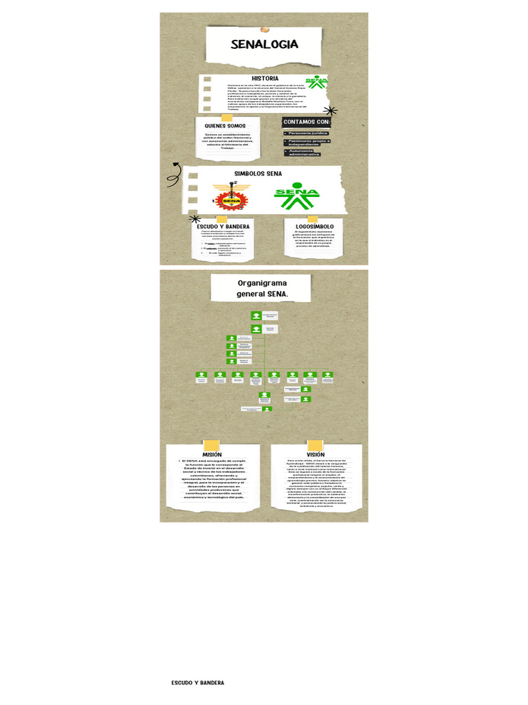 SENALOGIA (Infografías) | PDF