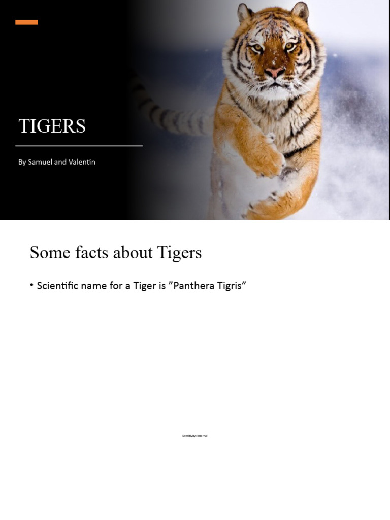 Tiger | PDF | Computer Engineering | Software Engineering Tiger | PDF | Computer Engineering | Software Engineering