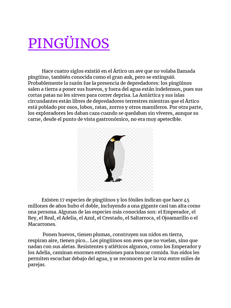 Pingüinos - Texto Expositivo | PDF