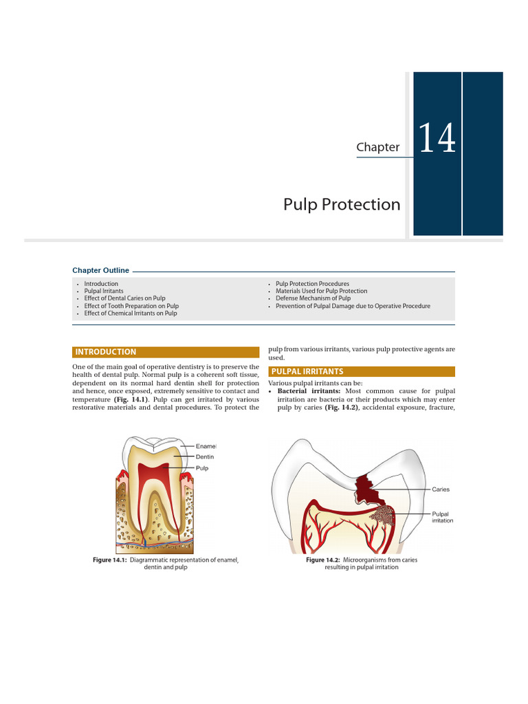 W10-11. Reference Reading Chapter 14. Pulp Protection (Liners and Bases ...