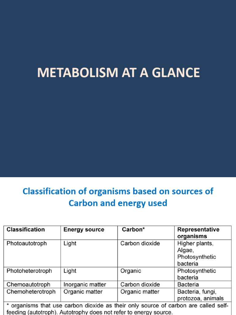Metabolism at a Glance Presentation | PDF | Adenosine Triphosphate ...
