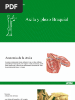 Región Axilar Resumen Prrre | PDF | Tórax | Anatomía humana
