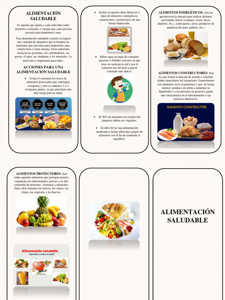 Triptico de La Alimentacion Saludable 3 | PDF | Alimentos | Dieta saludable