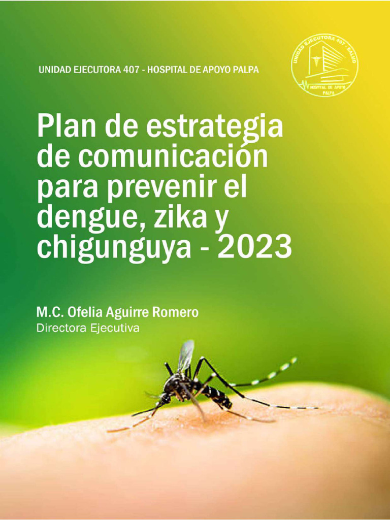 Plan Comunicacion Dengue | PDF