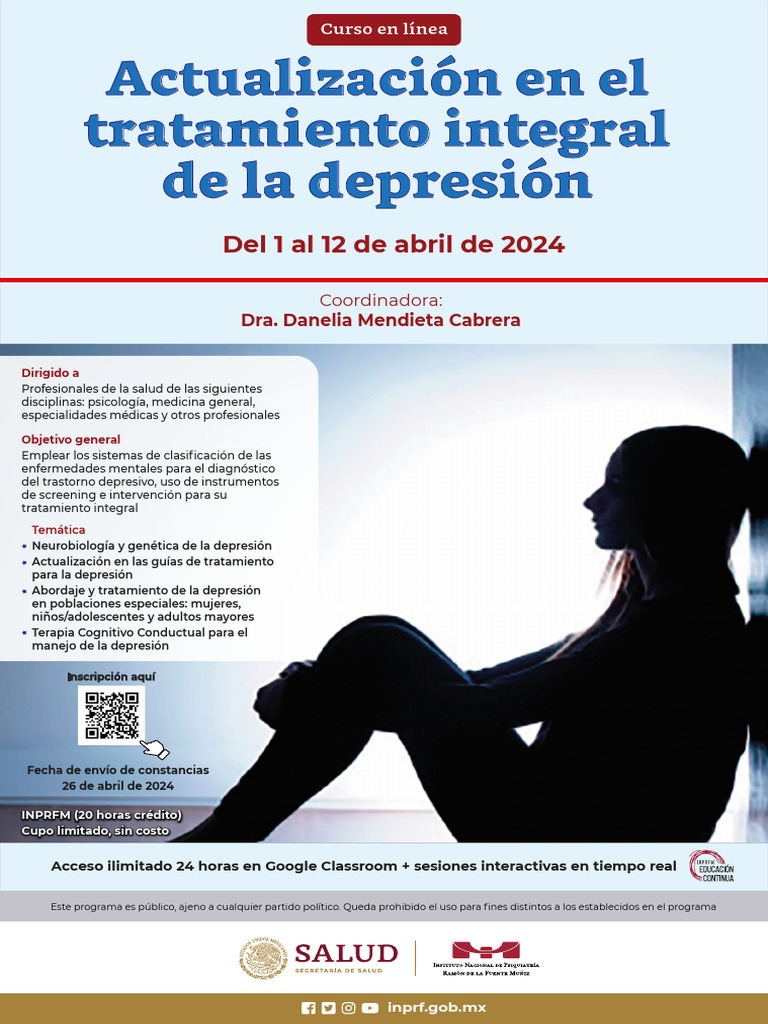 Poster Depresi Oacute N 2024 | PDF