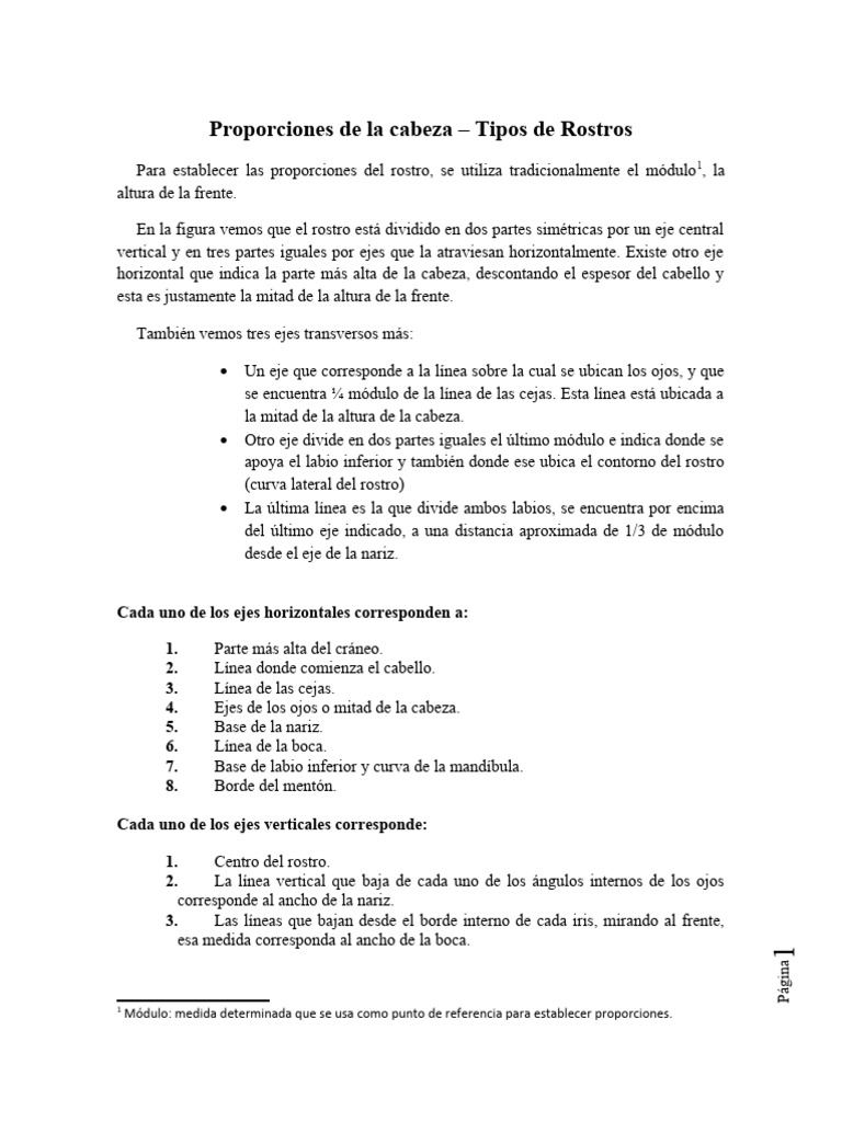 1 M Proporciones Del Rostro Pdf Cara