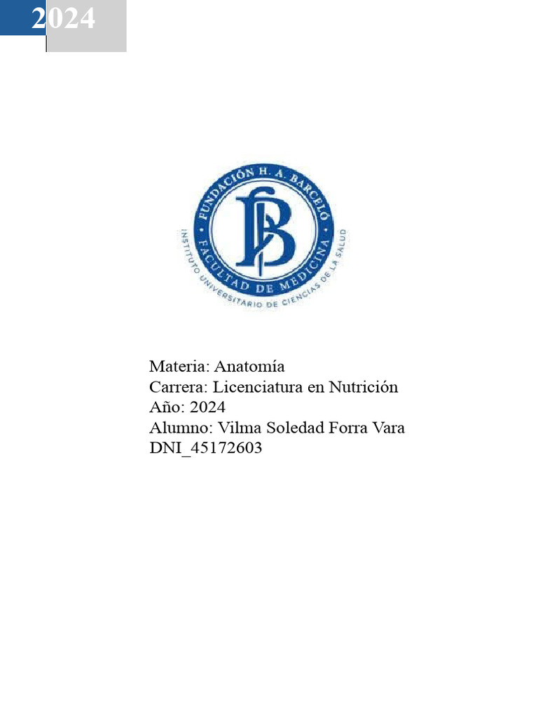 Tp Anatomía 3 Pdf Esqueleto Vértebra