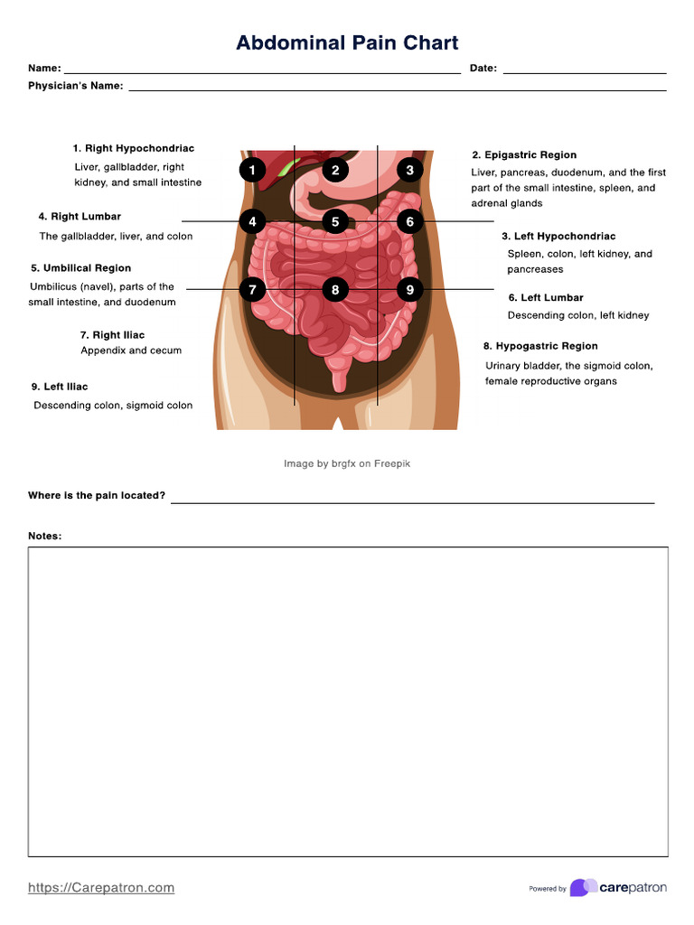 Abdominal Pain Charts | PDF | Wellness