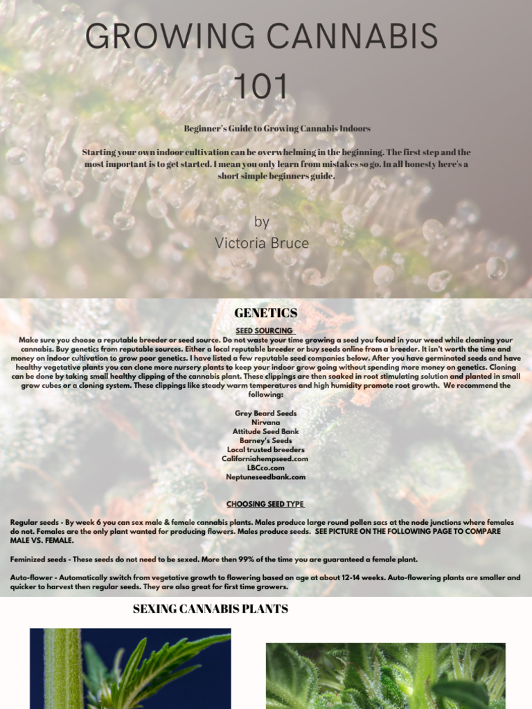 Indoor Cannabis Growing 101 1 | PDF | Soil | Hydroponics