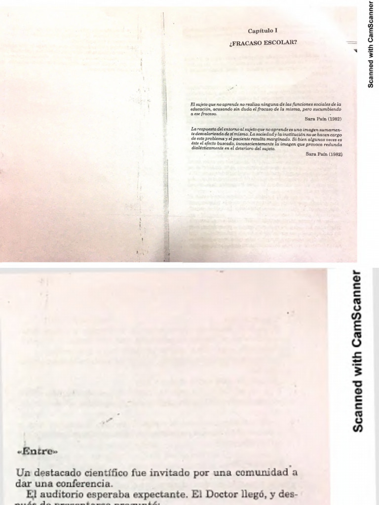 Los Idiomas Del Aprendiente. Alicia Fernandez Cap 1 | PDF | Aprendizaje ...