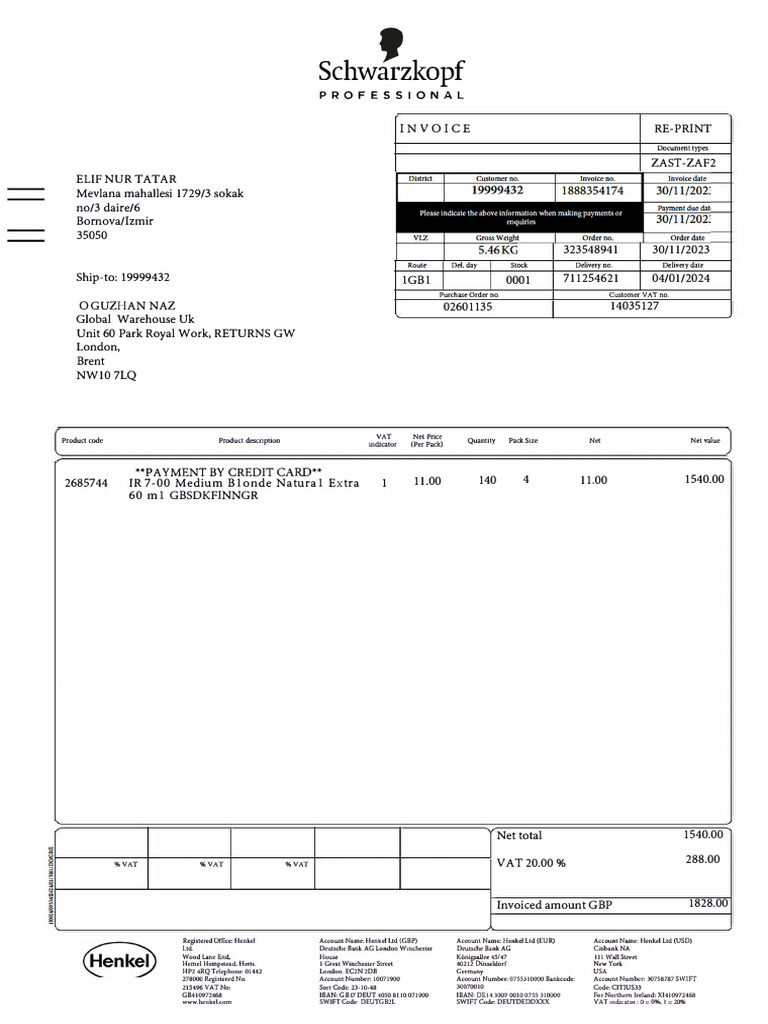 Igora Invoice | PDF | Economies | Payments