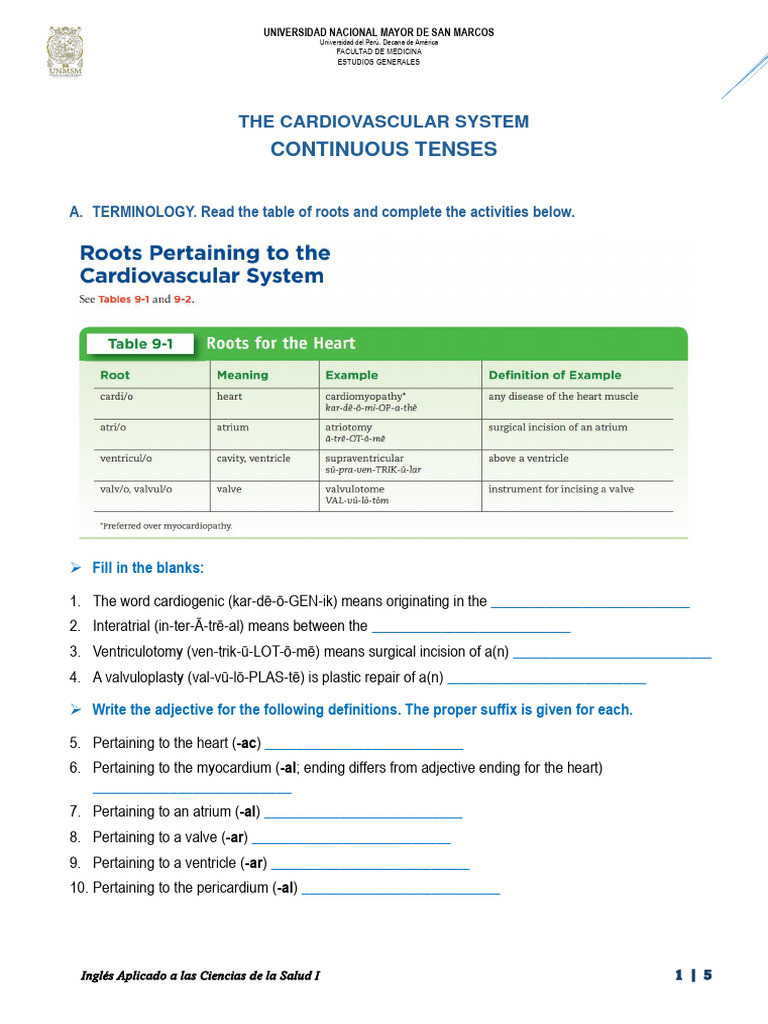 S5_CARDIOVASCULAR SYSTEM_PRACTICE | PDF | Heart | Blood Vessel