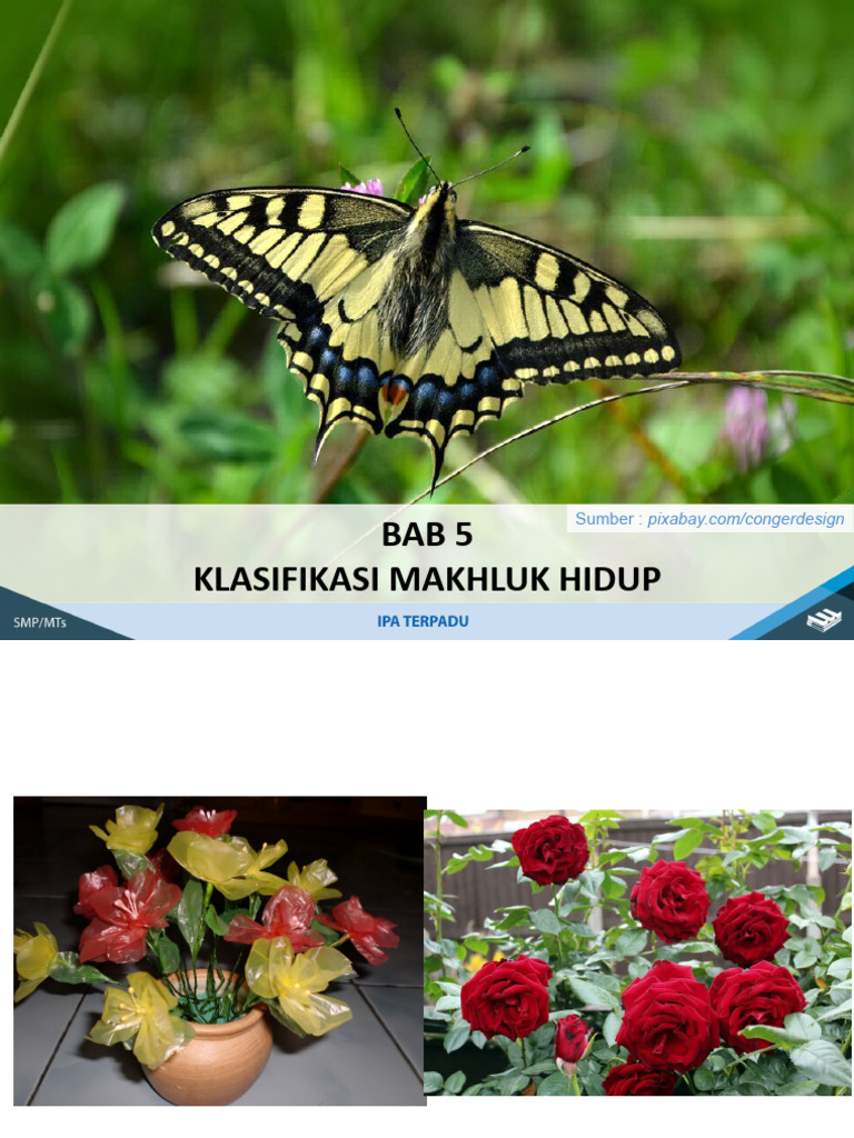 IPA Kelas 7 Bab 5 Klasifikasi Makhluk Hidup | PDF