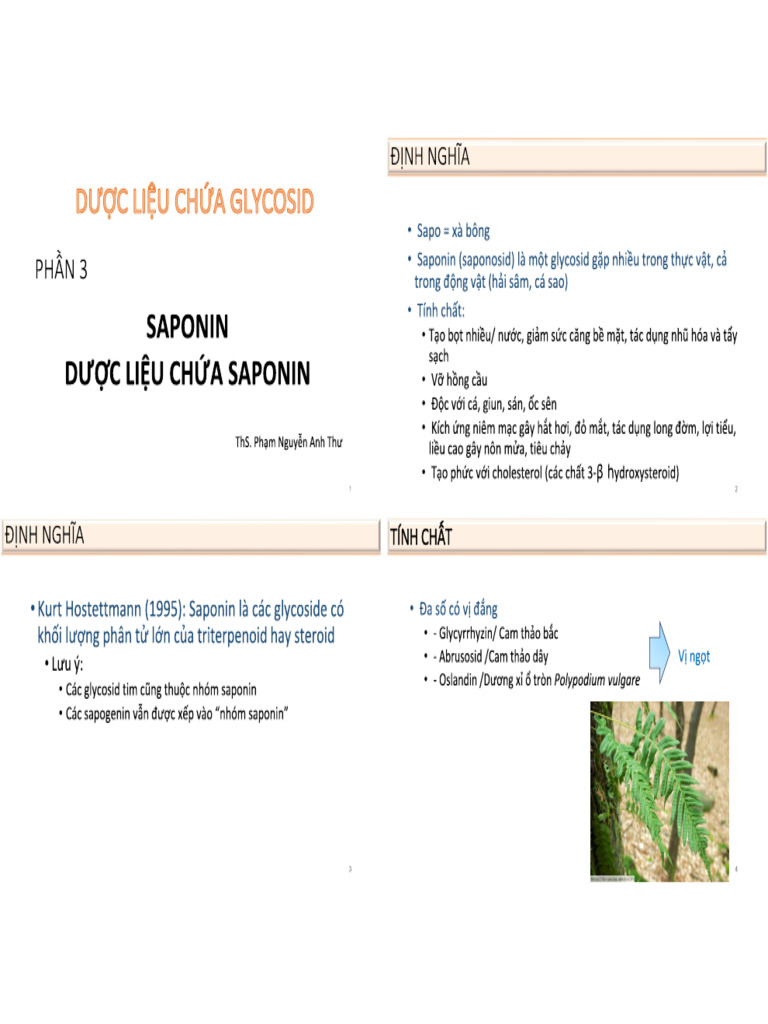 3.2 Saponin | PDF