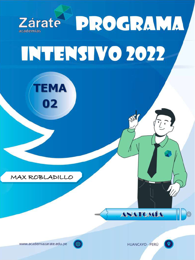 Tema 02 - Anatomía | Descargar gratis PDF | Sistema inmune | Sangre
