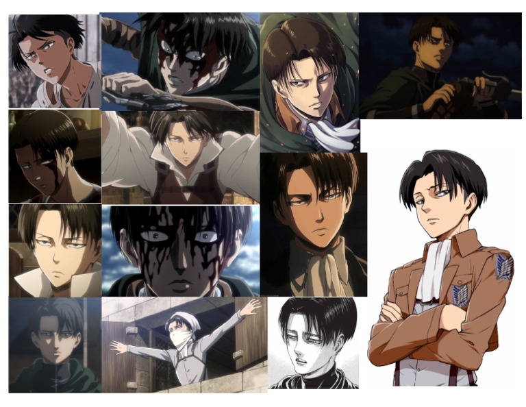Levi Ackerman | PDF