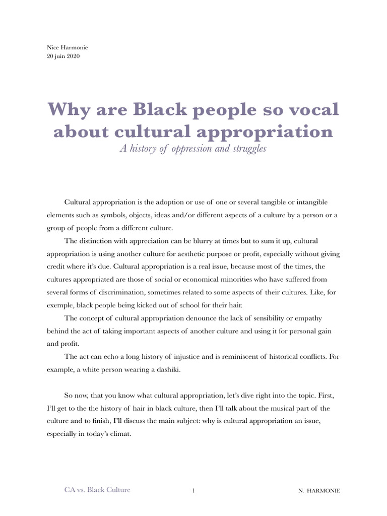 Cultural Appropriation Vs Black Culture | PDF | Hip Hop Music | Hairstyle