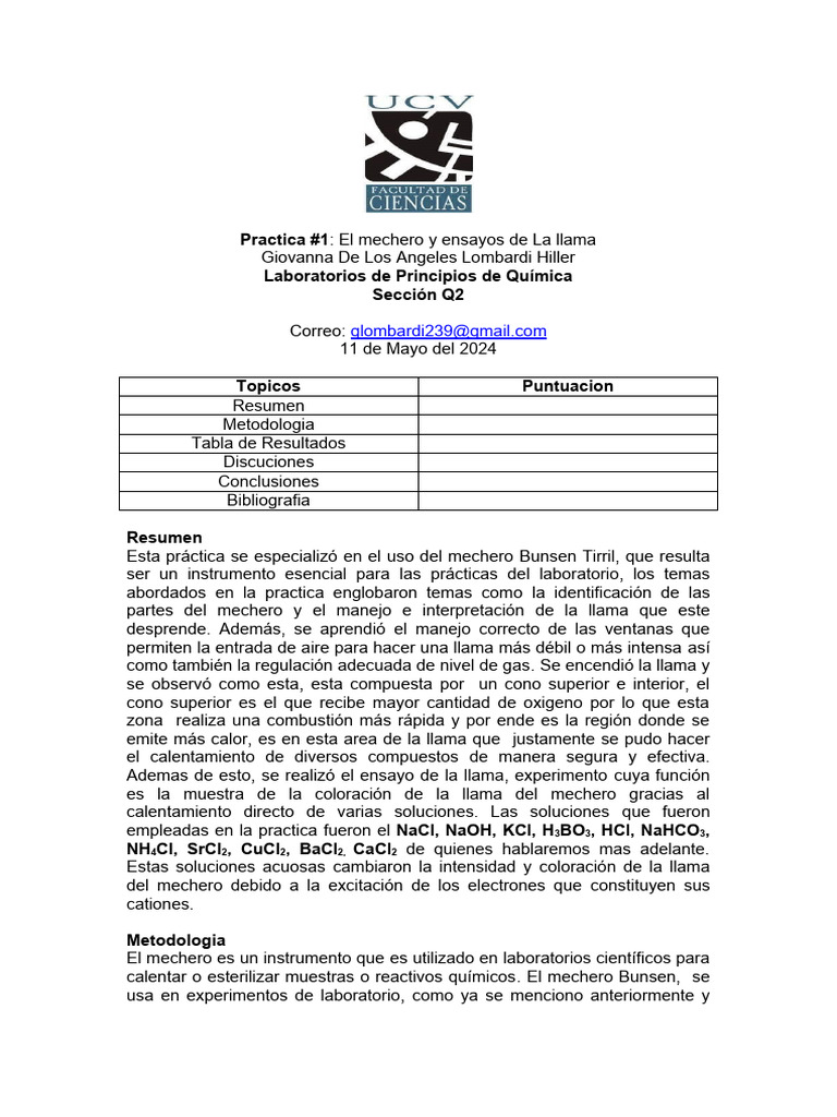 Uso del Mechero Bunsen Tirril en Química | PDF | Sal (química) | Color