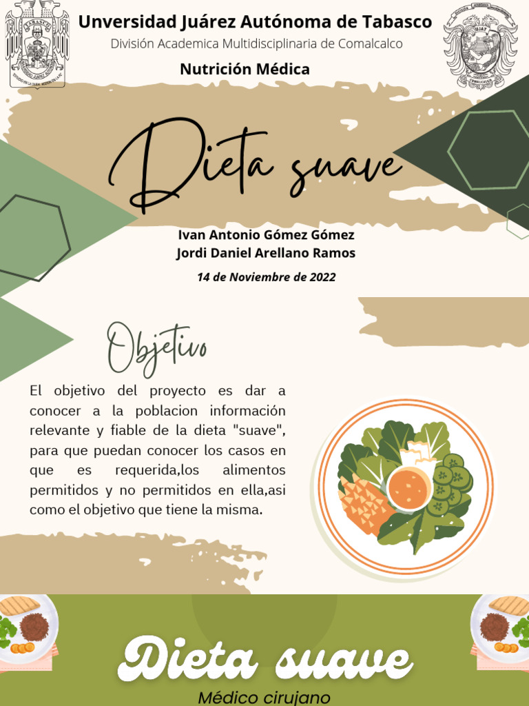 Dieta Suave | PDF | Tecnología
