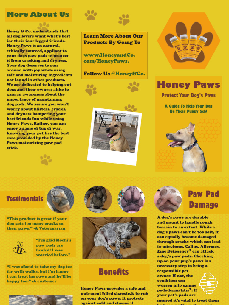 Mock Brochure - Honey Paws | PDF | Dogs | Animals And Humans