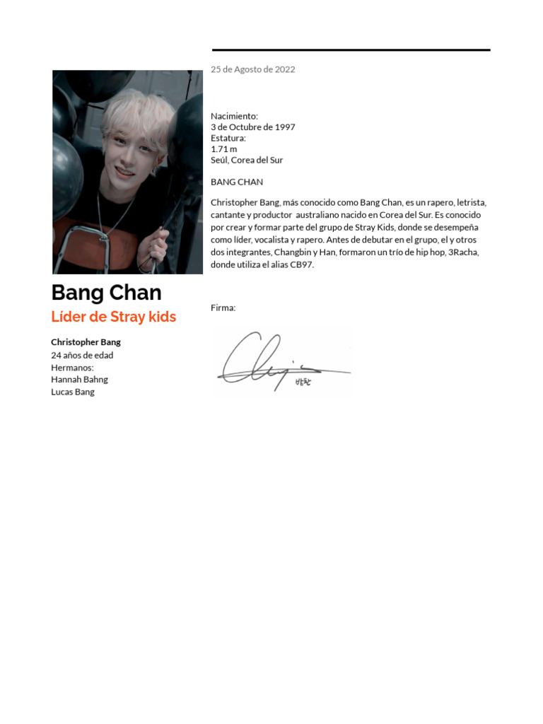 Bang Chan | PDF