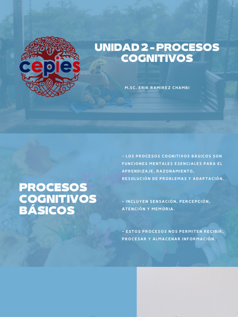 Presentación Procesos Cognitivos | PDF | Sentidos | Percepción