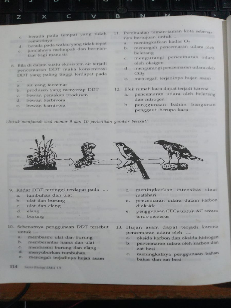 Binder1 Lingkungan Latihan Soal | PDF