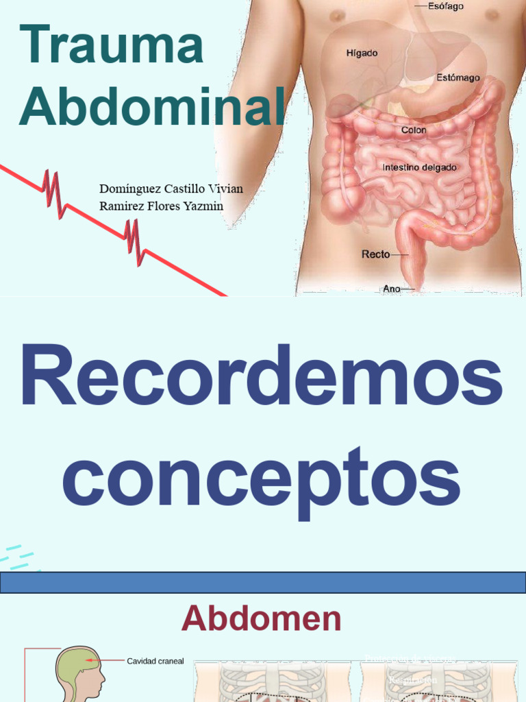trauma abdominal | PDF | Abdomen | Anatomía
