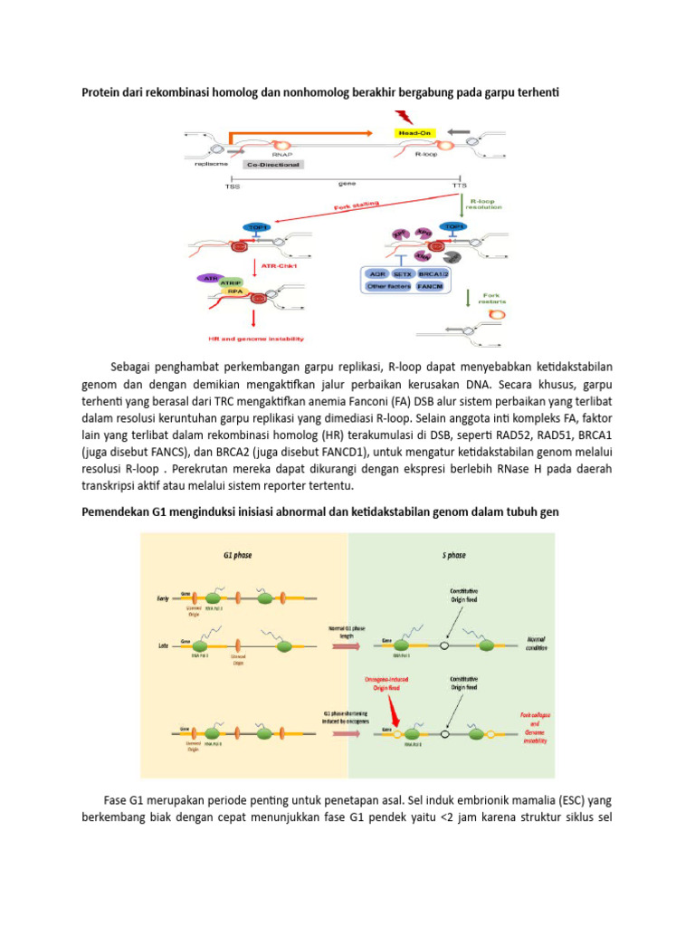 Protein Dari Rekombinasi Homolog Dan Non | PDF | Sains & Matematika