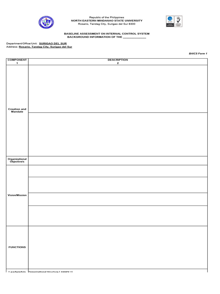Internal Control System Assessment Report | PDF | Internal Control | Audit