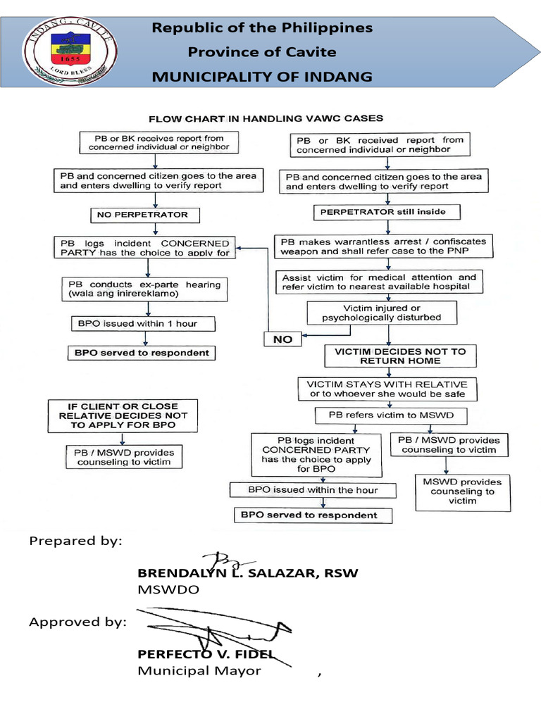 Flow Chart of Services Provided To Victim Survivors | PDF