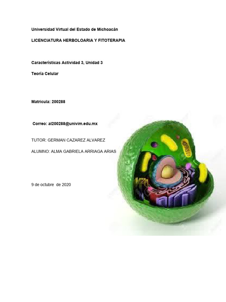 Teoría Celular: Eucariotas vs Procariotas | PDF | Biología Celular ...