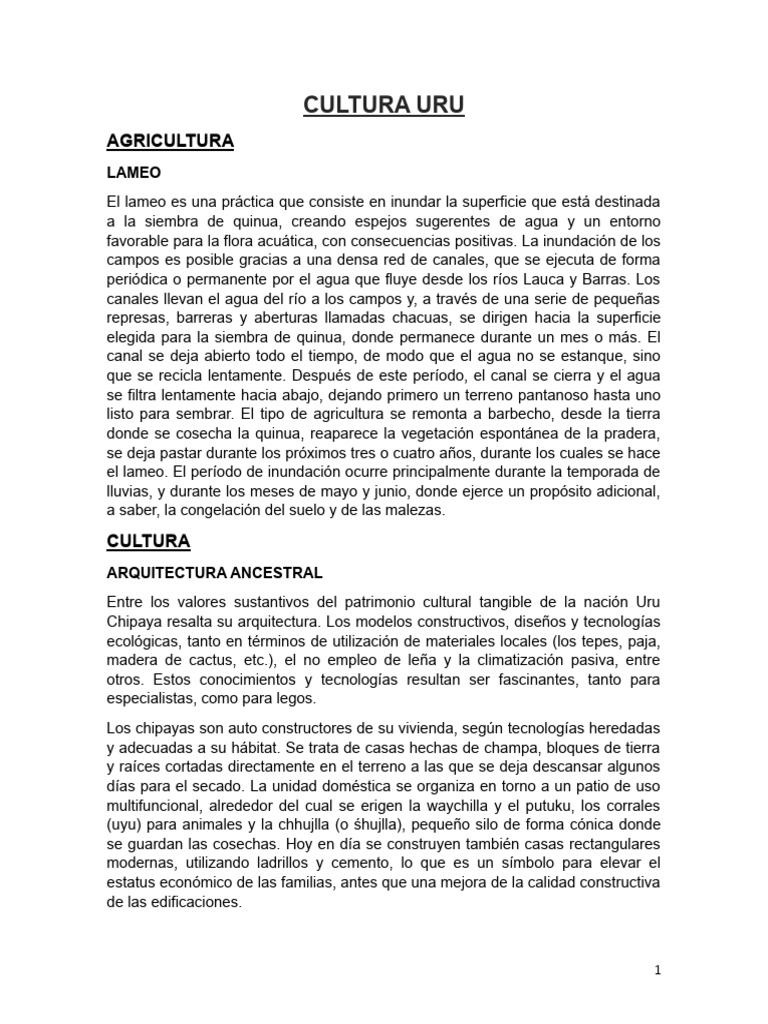 Cultura Uru | PDF | Turismo | Telar