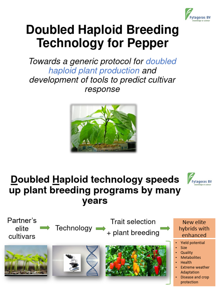 1040 Holtman Wessel Session2 | PDF | Plant Breeding | Life Sciences