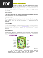 Plant Cell Drawing and Labelling - Google Search | PDF | Cell (Biology) | Endoplasmic Reticulum