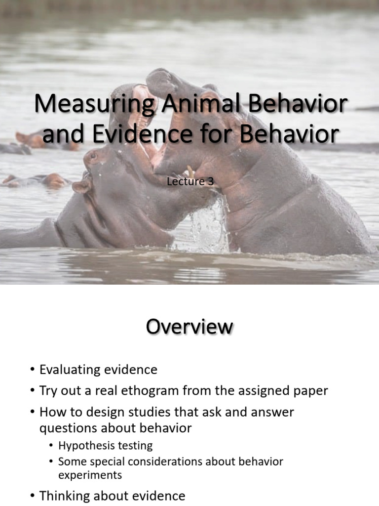 03 Lecture Animal Behavior Holt pdf-1 | PDF | Hypothesis | Fungus