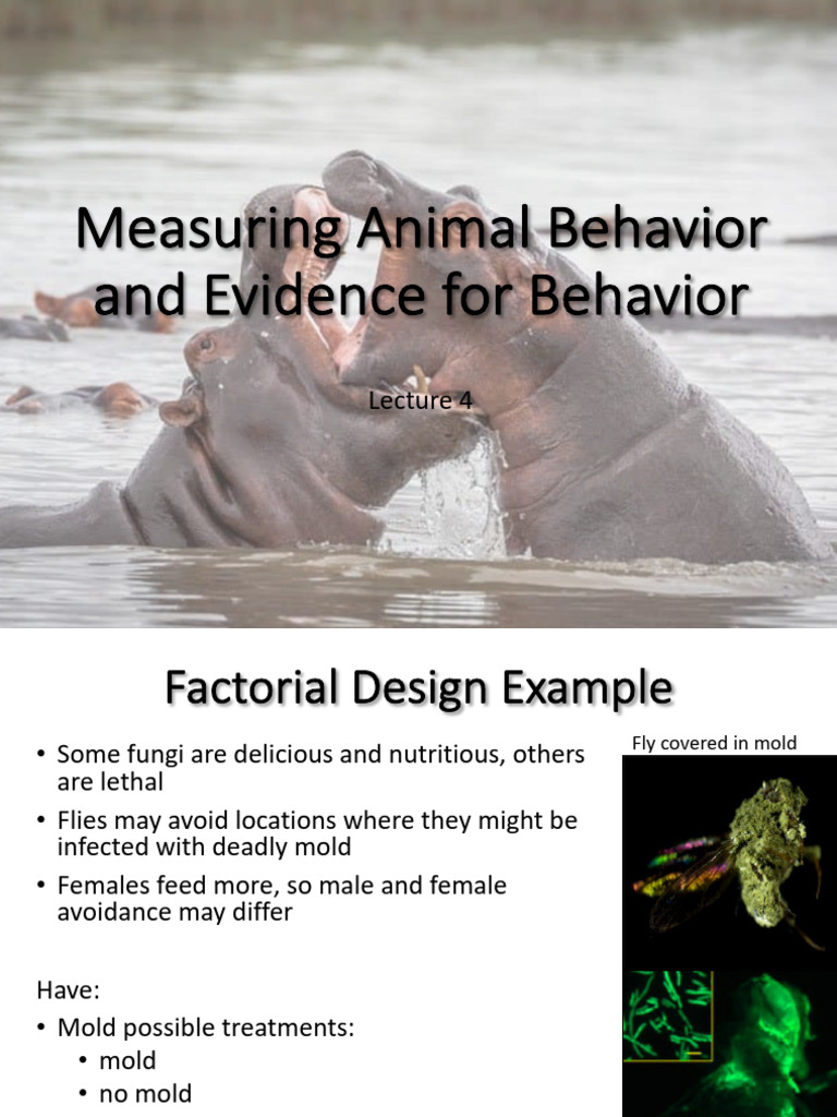 Animal Behavior Measurement Techniques | PDF | Hormone | Androgen