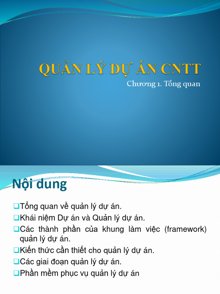 QLDA CNTT C1 - Tong Quan | PDF